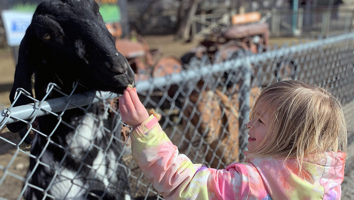 About Us - Bumble and Bean Daycare